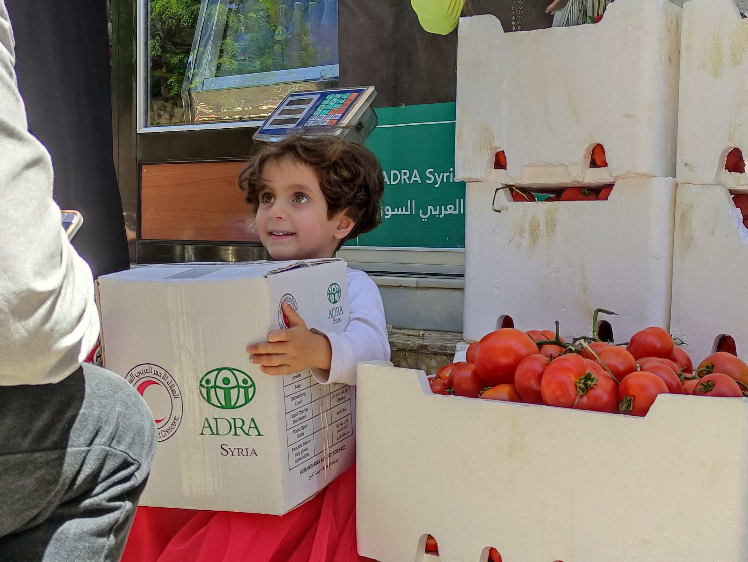 Impact - Justice. Compassion. Love | ADRA Syria